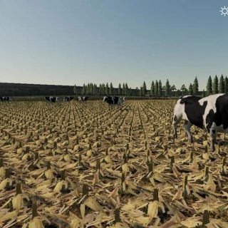 Midwest Dairy Map v1.0 FS19 Mod - Farming Simulator 25