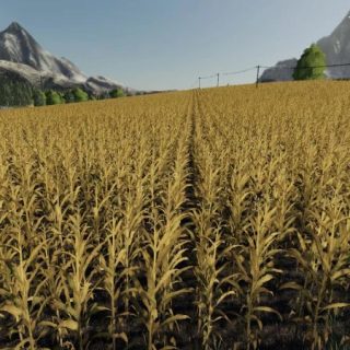 Green Valley Map v1.0 FS19 Mod - Farming Simulator 25