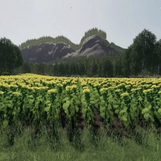Green Valley Map v1.0 FS19 Mod - Farming Simulator 25