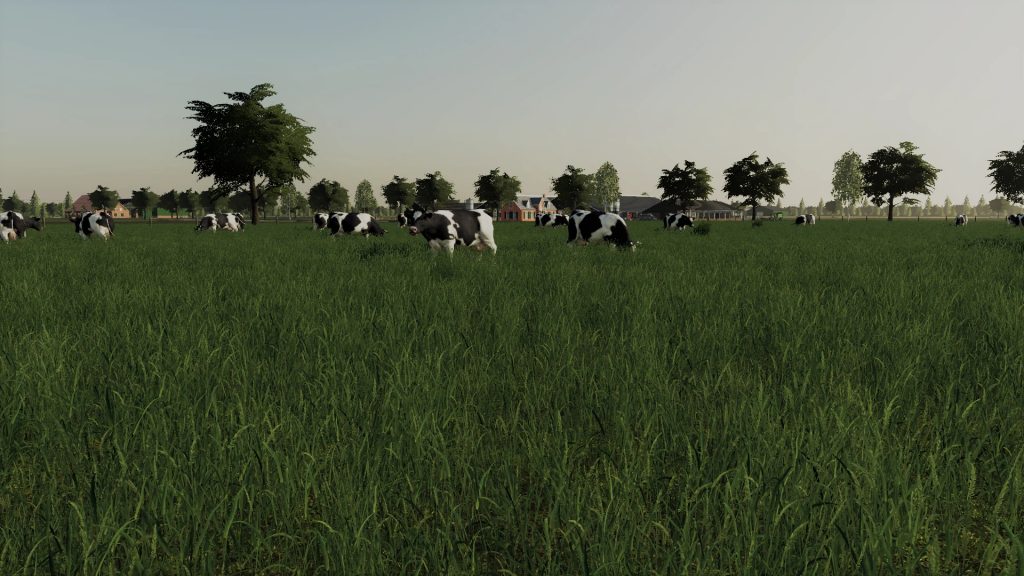 Cow pasture v2.0 FS19 Mod - Farming Simulator 25