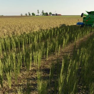 Southern Parish v1.1 FS19 Mod - Farming Simulator 25