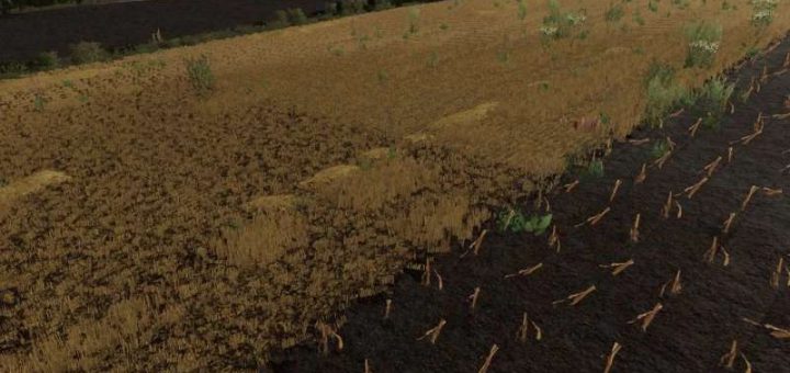 FS22 Soil texture v1.0.0.0 Mod - Farming Simulator 25