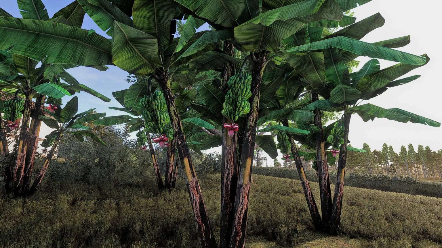 FS25 Banana tree v1.0.0.0 Mod - Farming Simulator 25