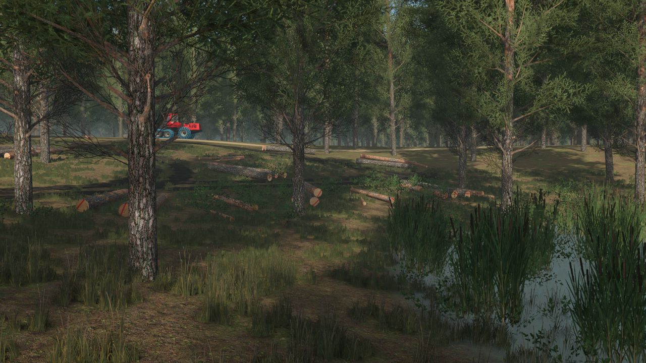 FS25 Staby Forest V1.0.0.0 Mod - Farming Simulator 25