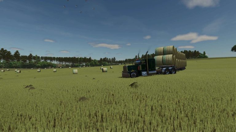 FS25 American Flag Net Wrap (Hay Texture) v1.0.0.0 Mod - Farming ...